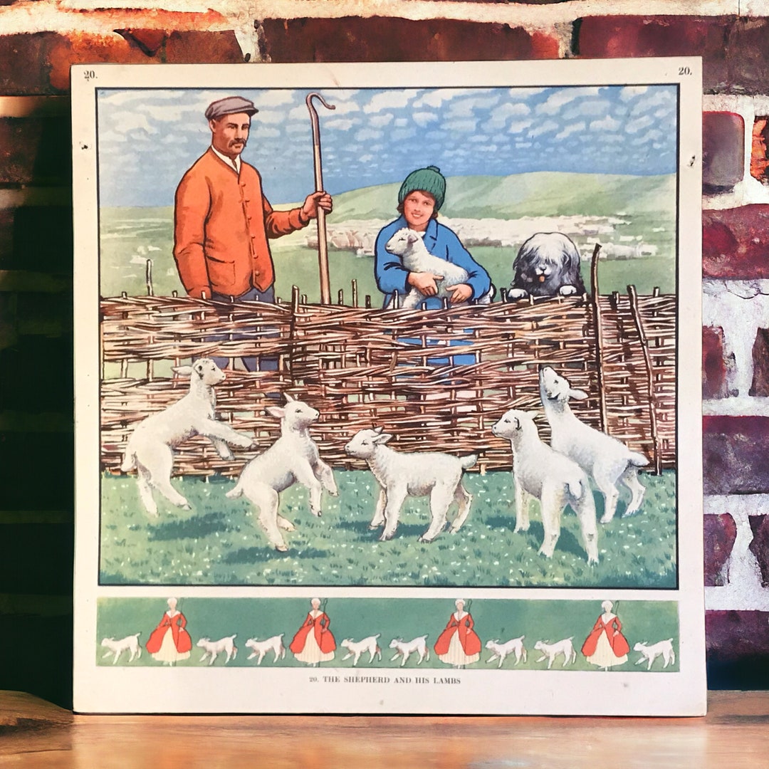 The Shepherd and His Lambs, a Vintage School Educational Poster From ...