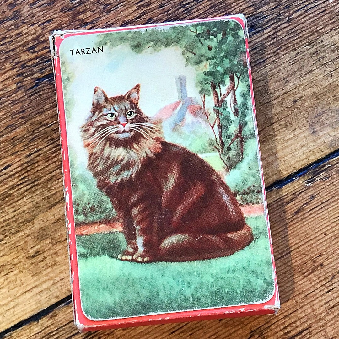Pair of Cat Playing Cards by Alf Cooke Collectable Vintage - Etsy