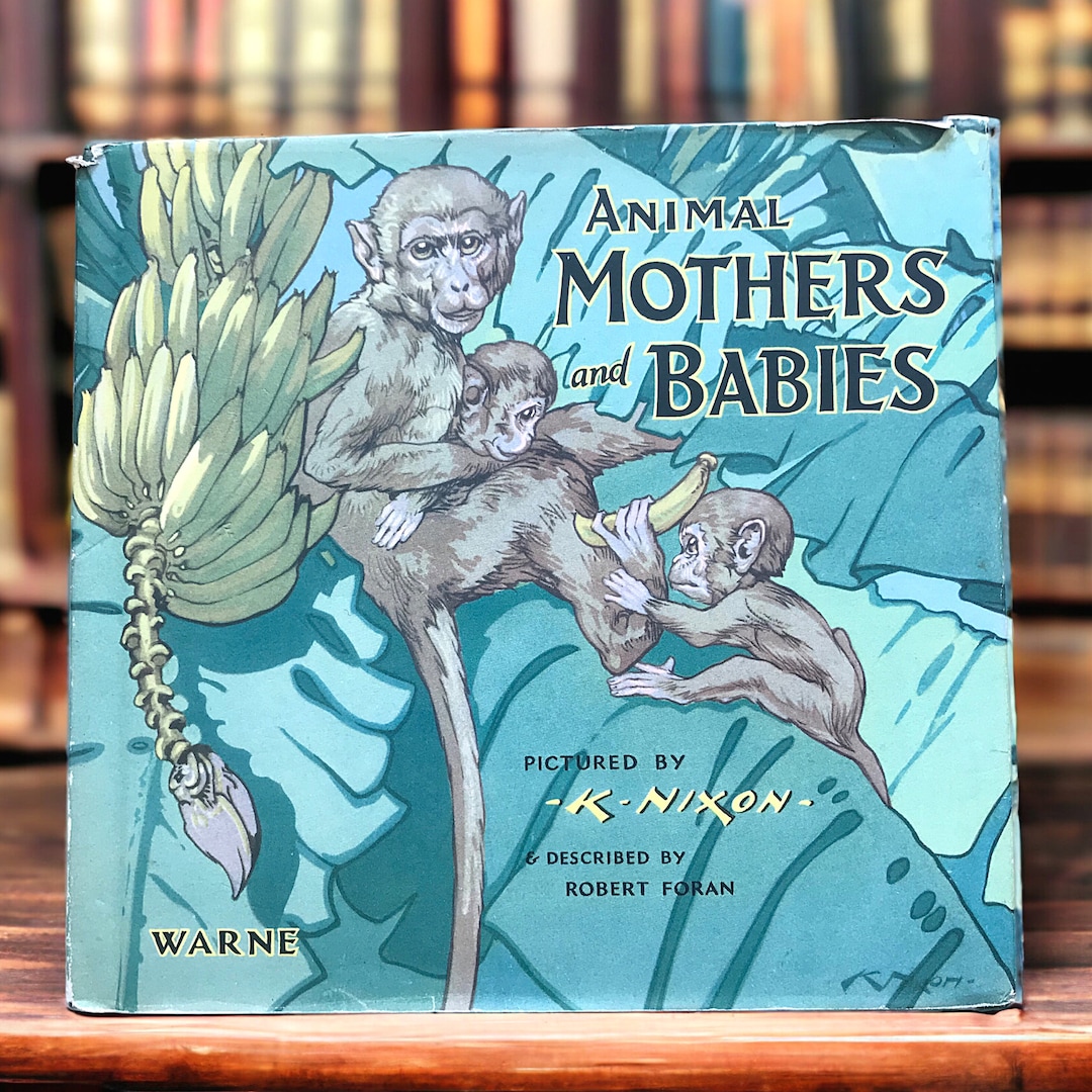 Animal Mothers and Babies a Vintage Book Illustrated in Colour by Kay ...