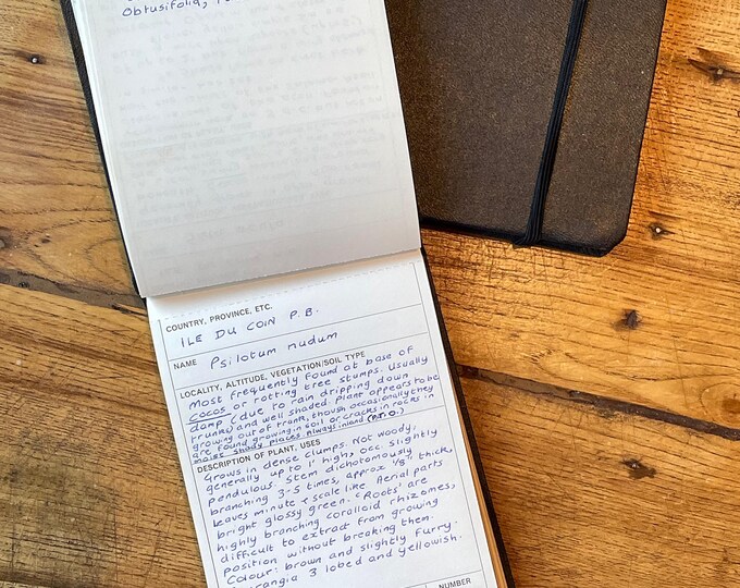 Vintage Specimen Collectors Notebook From Kew Gardens, Paper Pages for ...