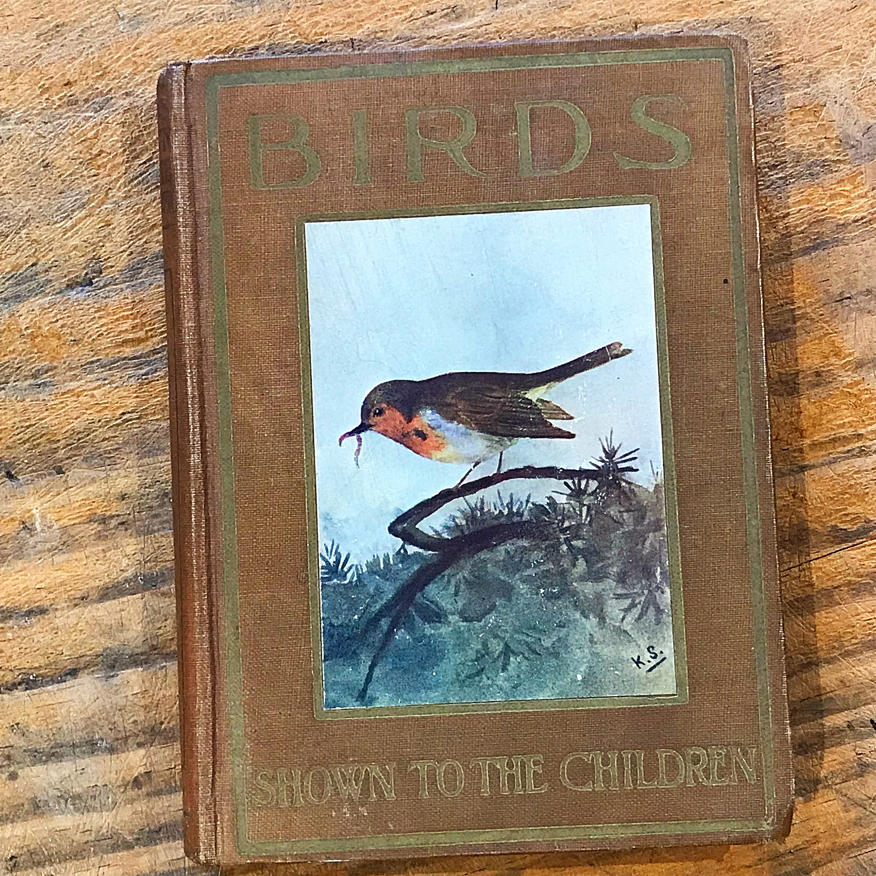 Illustrated Bird Book - Etsy UK