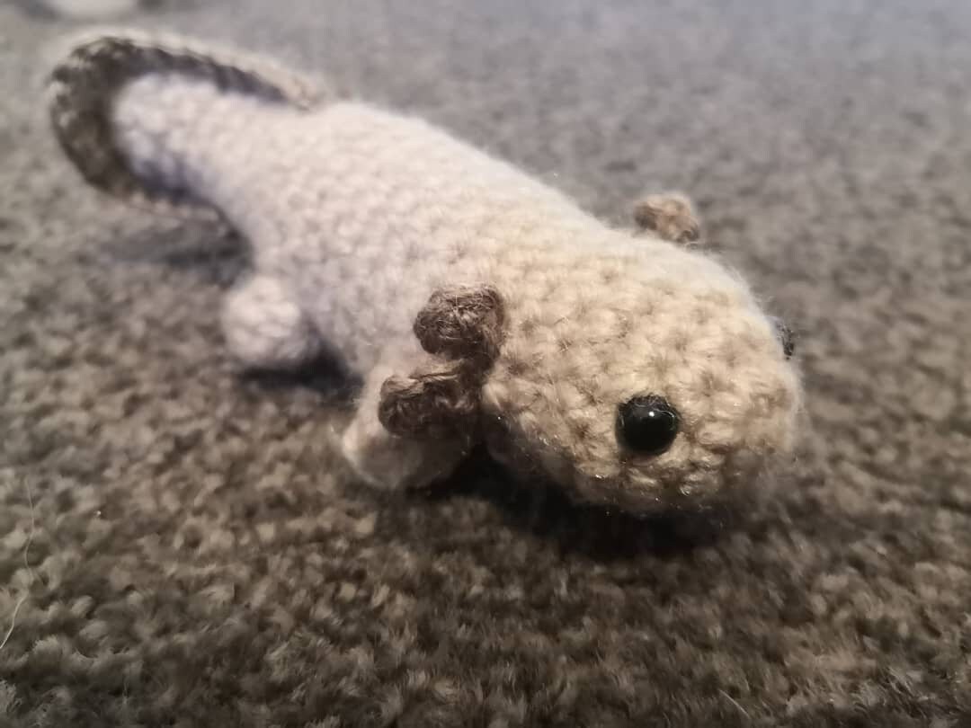 Adorable Axolotl Amigurumi Crochet Pattern - Beginner Friendly - Etsy