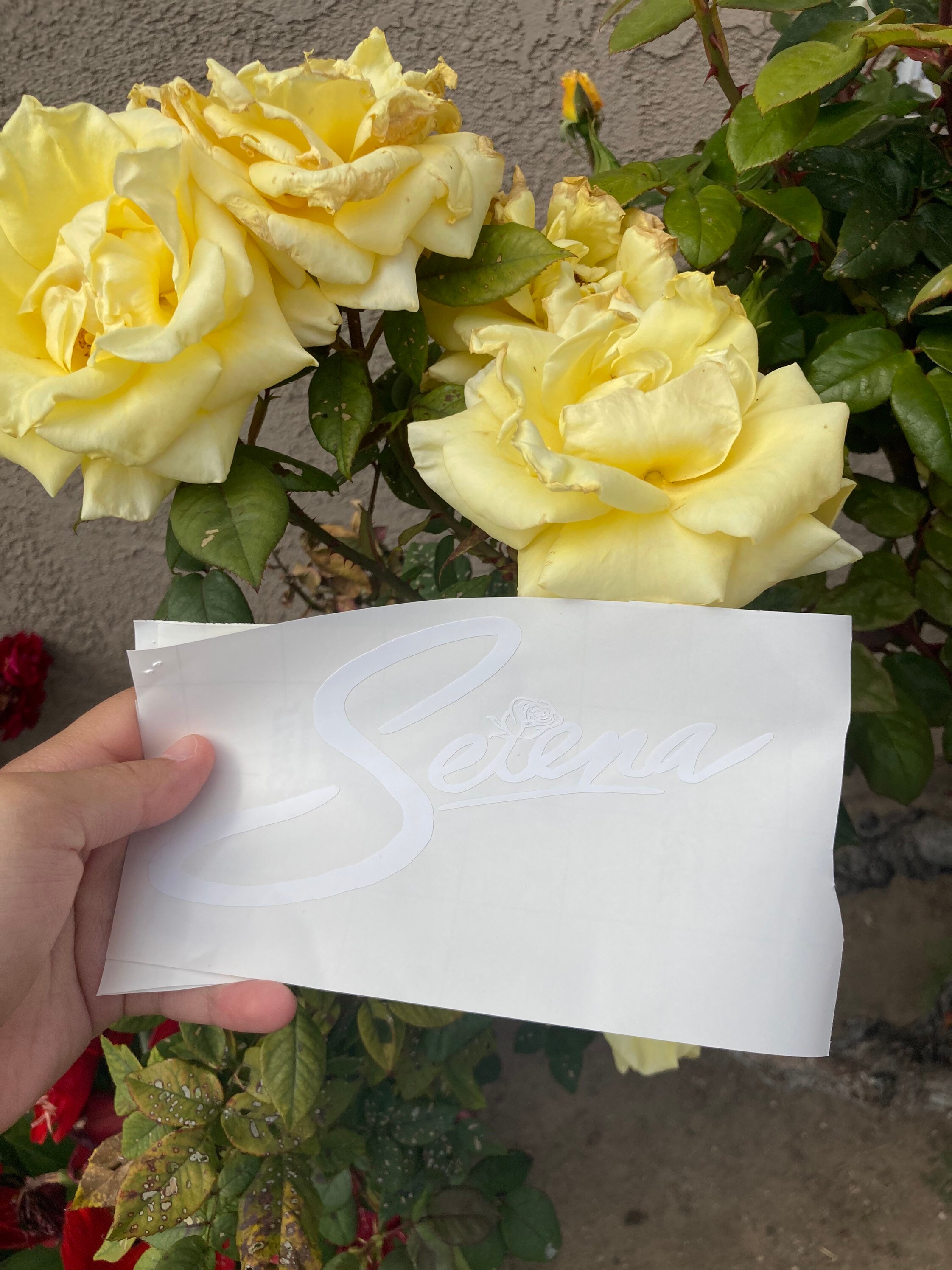 Selena Quintanilla Decal/ Sticker - Etsy