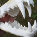 Werewolf Wolf Jaws Teeth Mask Costume Fursuit - Etsy