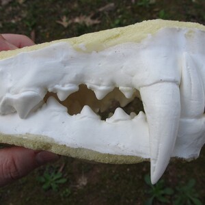 Werewolf Wolf Jaws Teeth Mask Costume Fursuit - Etsy