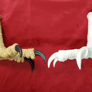 Harpy Eagle Replica Bird Raptor Foot Finished - Etsy