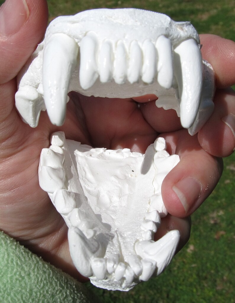 Wolverine Jaws Teeth Cast Costume Mask - Etsy