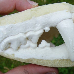 Large Leopard Jaws Teeth Replica - Etsy