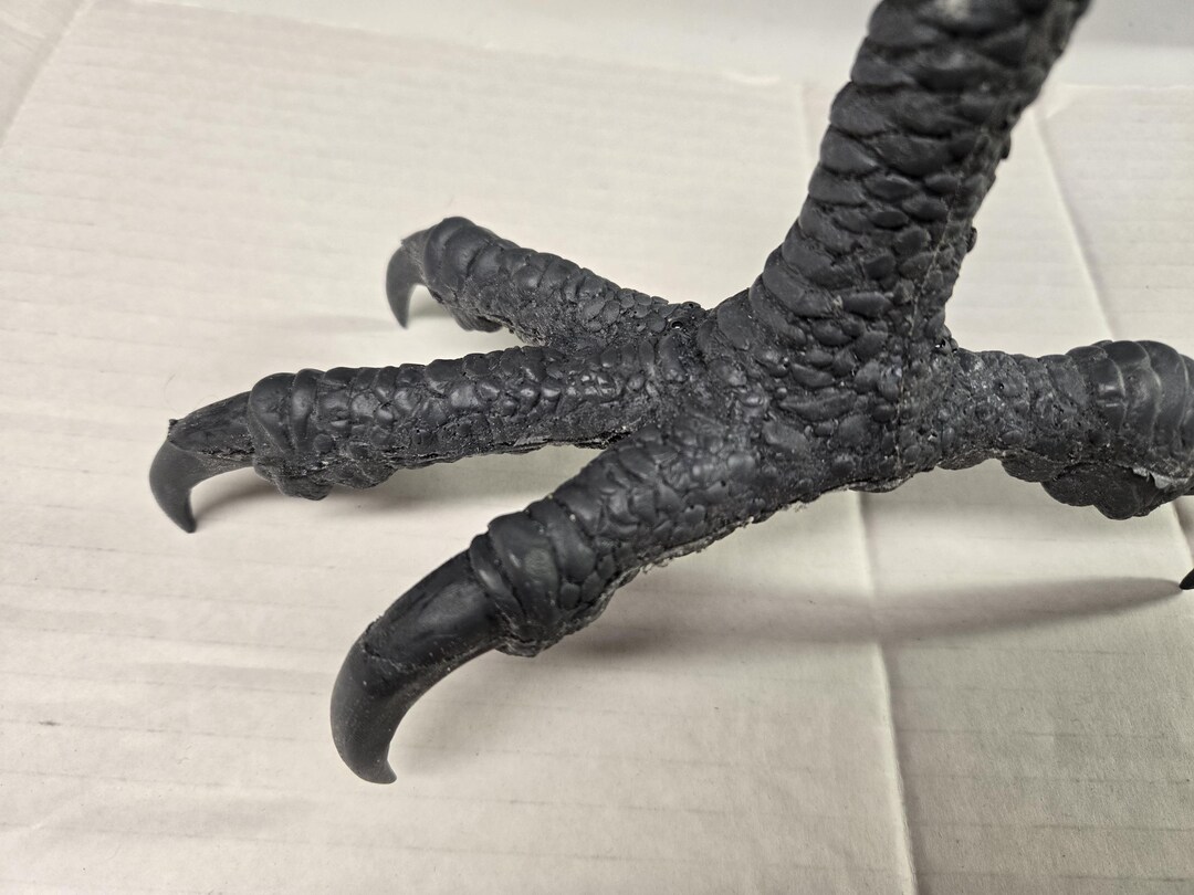Harpy Eagle Replica Foot Unfinished Dark Grey Black - Etsy