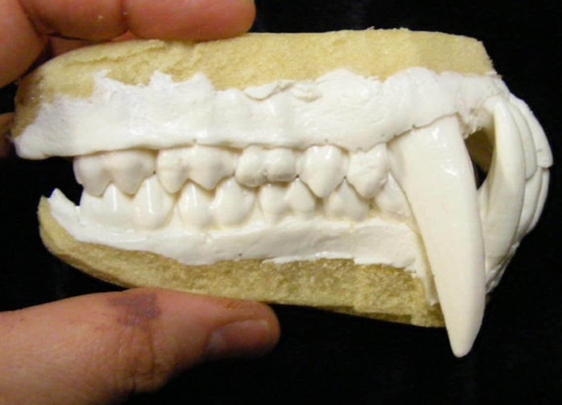 Huge Male Baboon Monkey Jaws Teeth Reproduction Mask Costume - Etsy