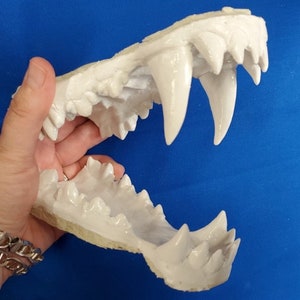 Werewolf Jaws Teeth Cast Mask Costume Style #2 - Etsy