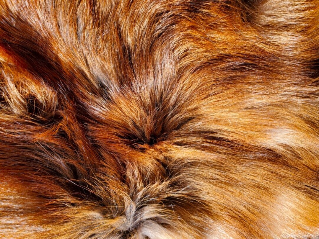 Red Fox Fur Back Pelt Pieces - Etsy