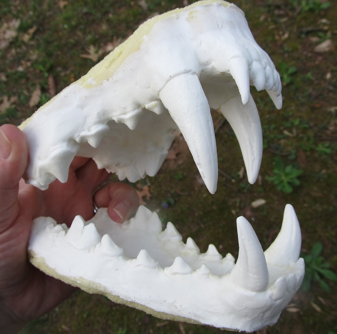 Werewolf Wolf Jaws Teeth Mask Costume Fursuit - Etsy