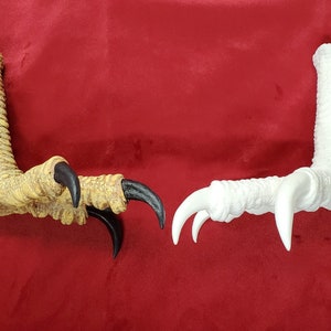 Harpy Eagle Bird Replica Foot Unfinished - Etsy