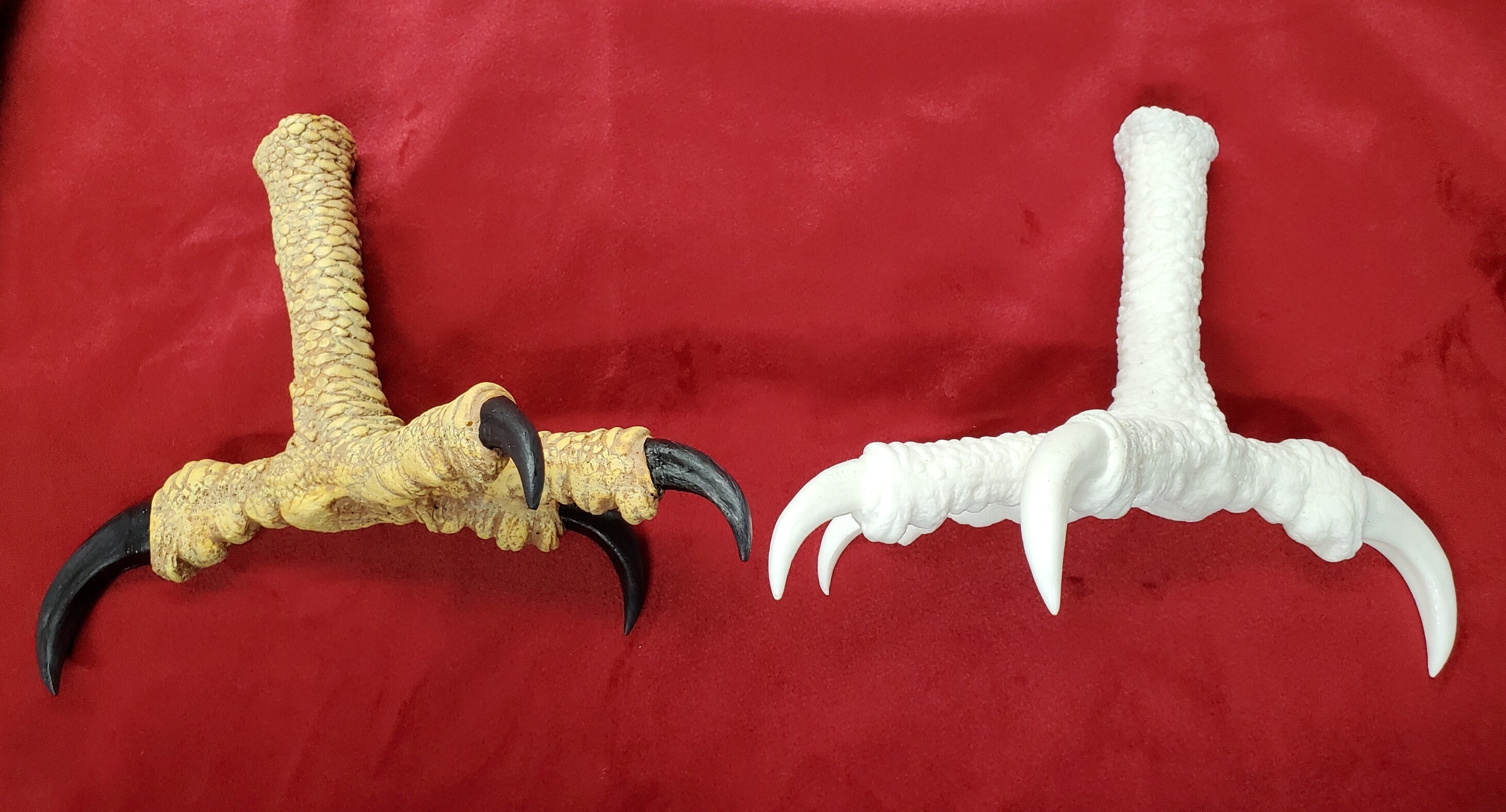 Harpy Eagle Bird Replica Foot Unfinished - Etsy