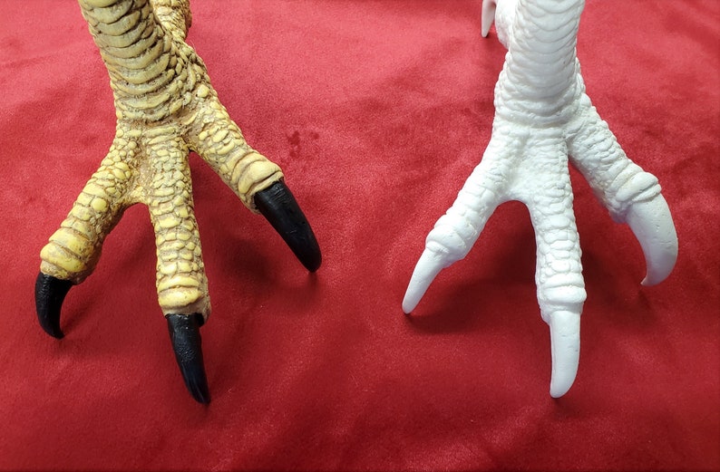 Harpy Eagle Bird Replica Foot Unfinished - Etsy