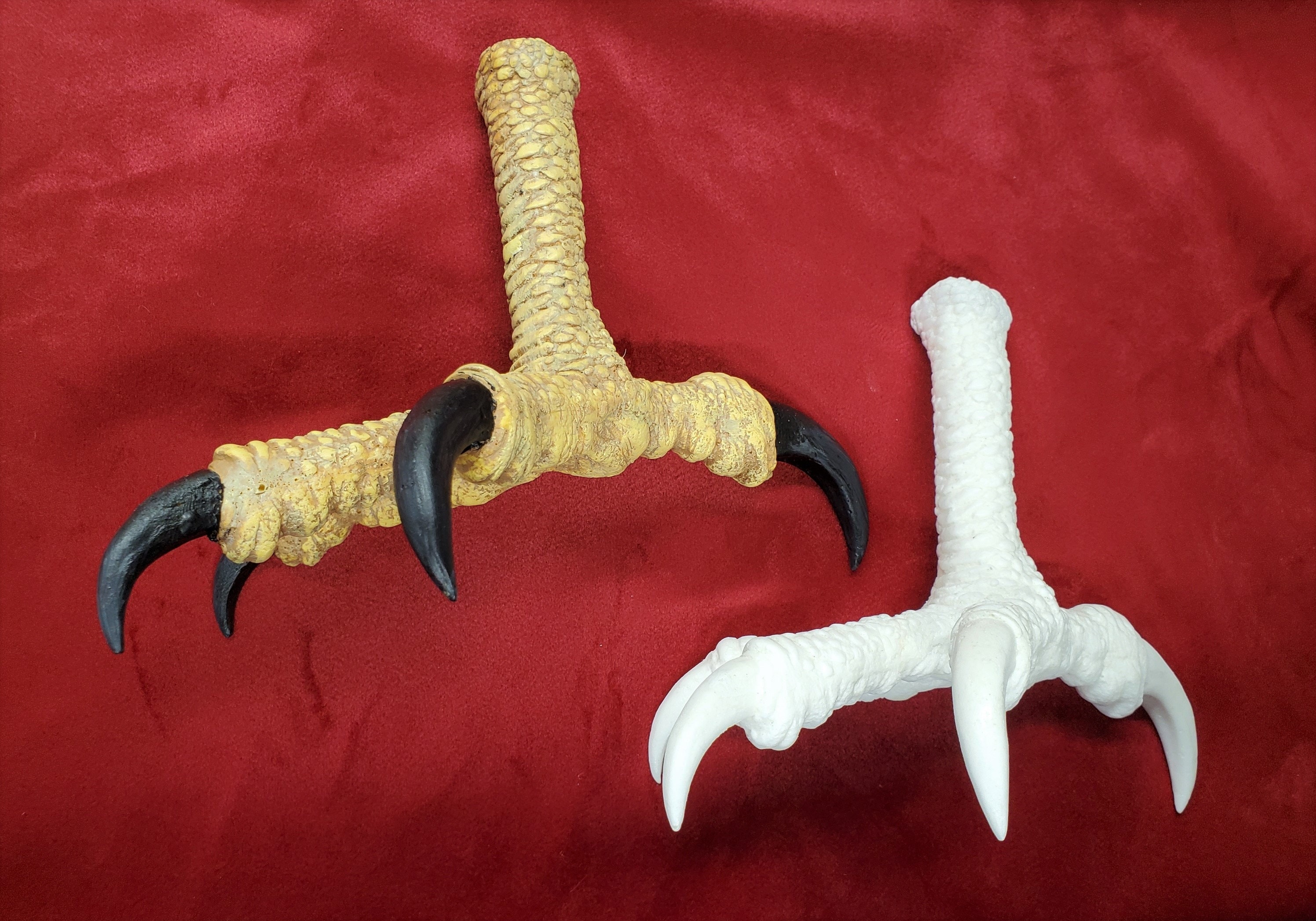 Harpy Eagle Replica Bird Raptor Foot Finished - Etsy