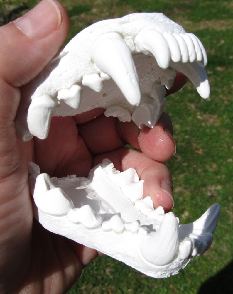 Wolverine Jaws Teeth Cast Costume Mask - Etsy