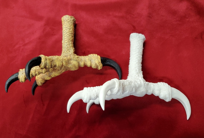 Harpy Eagle Bird Replica Foot Unfinished - Etsy