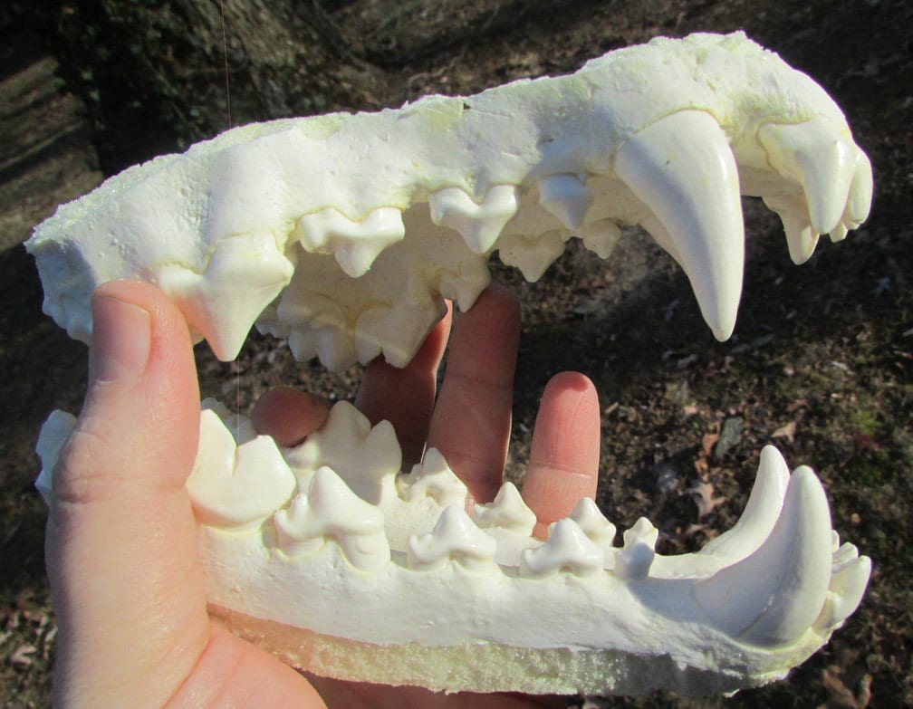 Grey Wolf Jaws Reproduction Fur Suit Fursuit Costuming Mask Crafts - Etsy