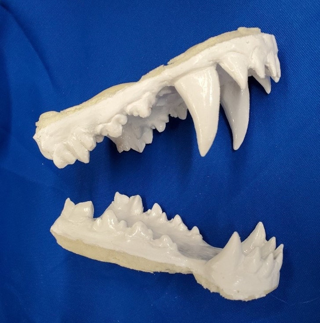 Werewolf Jaws Teeth Cast Mask Costume Style #2 - Etsy