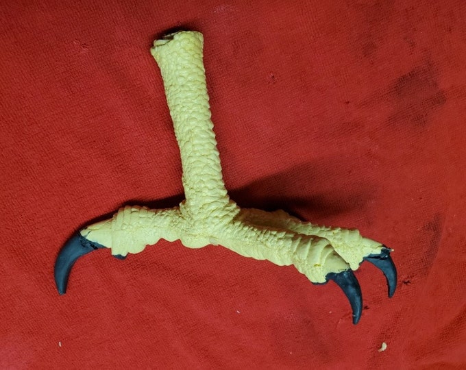 Harpy Eagle Replica Bird Raptor Foot 2nds - Etsy