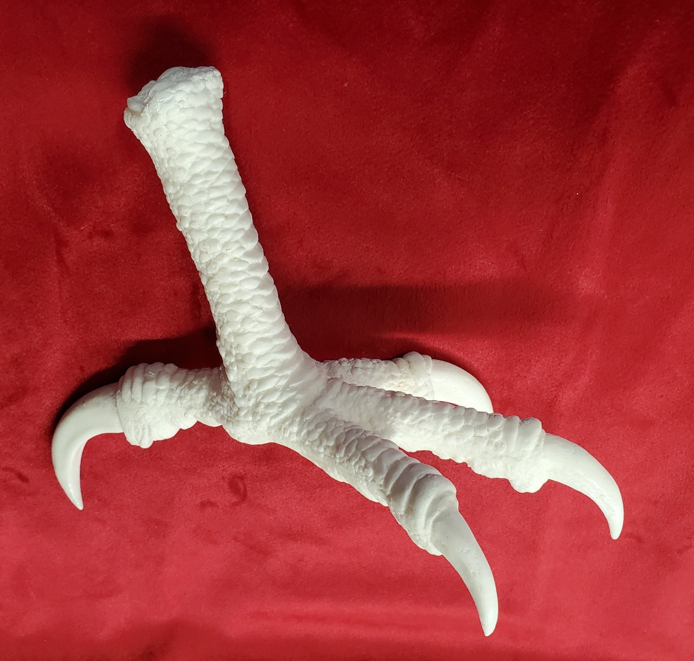 Harpy Eagle Bird Replica Foot Unfinished - Etsy