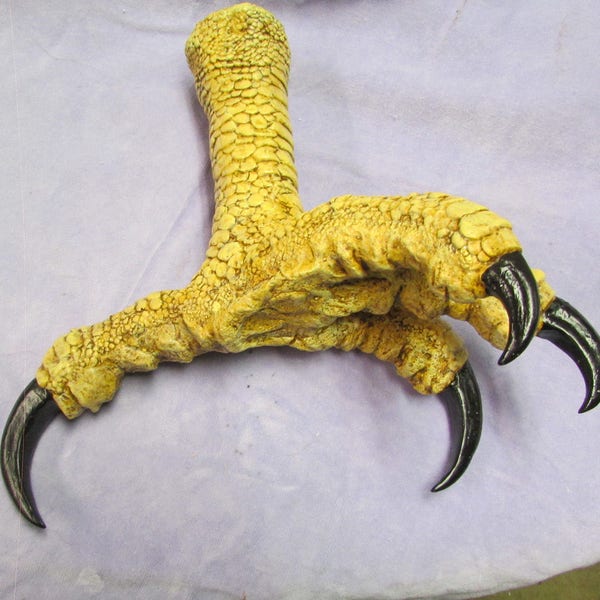 Raptor Claw - Etsy