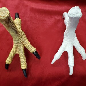 Harpy Eagle Replica Bird Raptor Foot Finished - Etsy