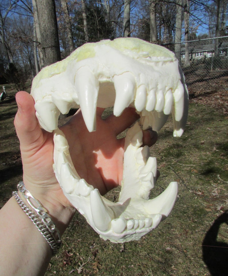 Huge Spotted Hyena Jaws Teeth Fur Suit Fursuit Costume Crafts Mask ...