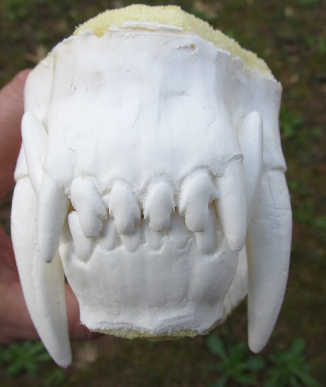 Werewolf Wolf Jaws Teeth Mask Costume Fursuit - Etsy