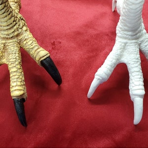 Harpy Eagle Replica Bird Raptor Foot Finished - Etsy