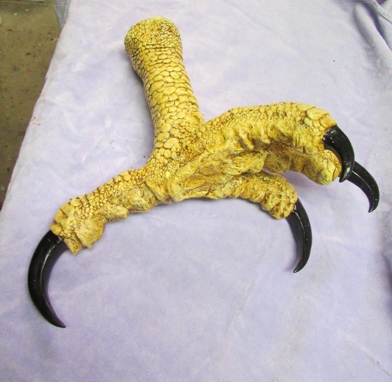 Haast Eagle Fossil Raptor Reproduction Foot Talon Claws Life Size ...