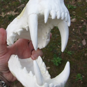 Werewolf Wolf Jaws Teeth Mask Costume Fursuit - Etsy