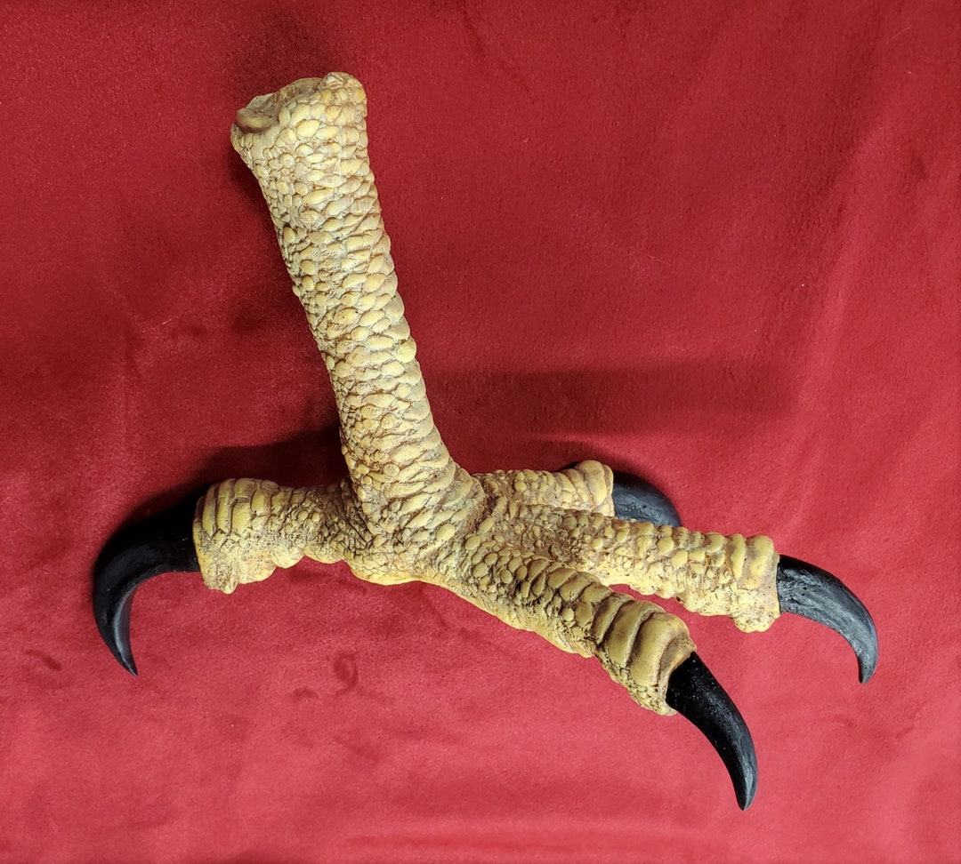 Harpy Eagle Replica Bird Raptor Foot Finished - Etsy