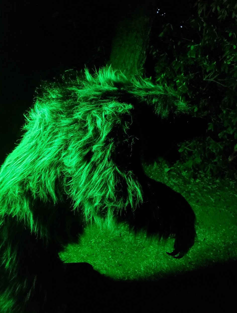 Full Size Standing Werewolf Prop With Glowing LED Eyes - Etsy