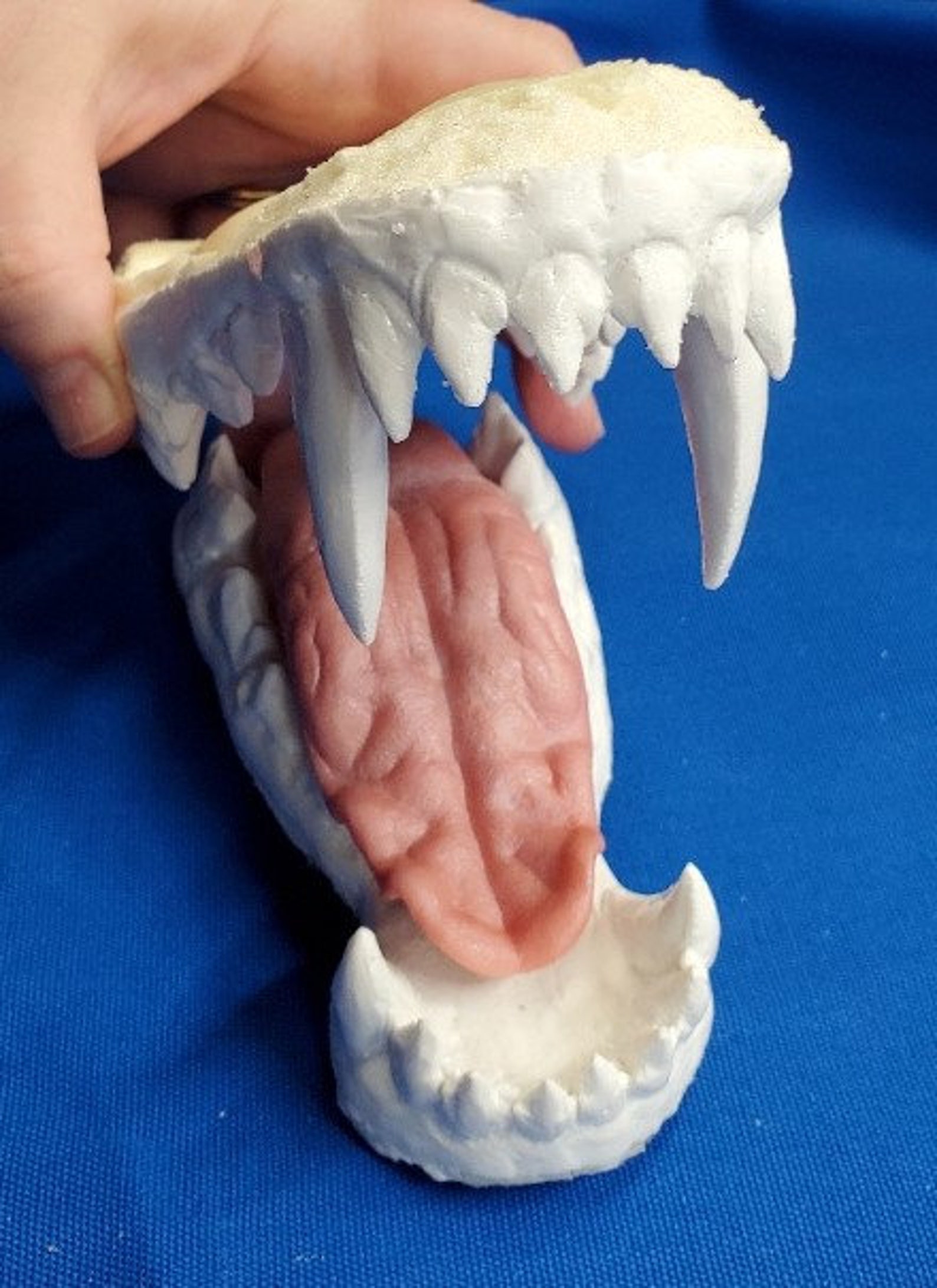 Werewolf Jaws Teeth Cast Mask Costume Style 2 - Etsy