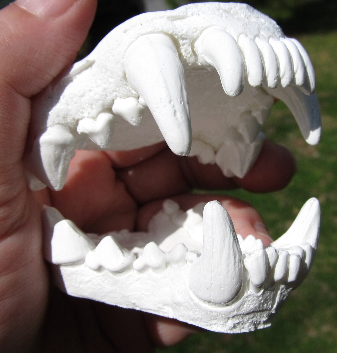 Wolverine Jaws Teeth Cast Costume Mask - Etsy