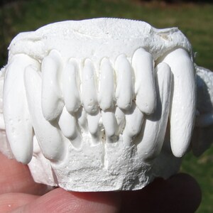 Wolverine Jaws Teeth Cast Costume Mask - Etsy