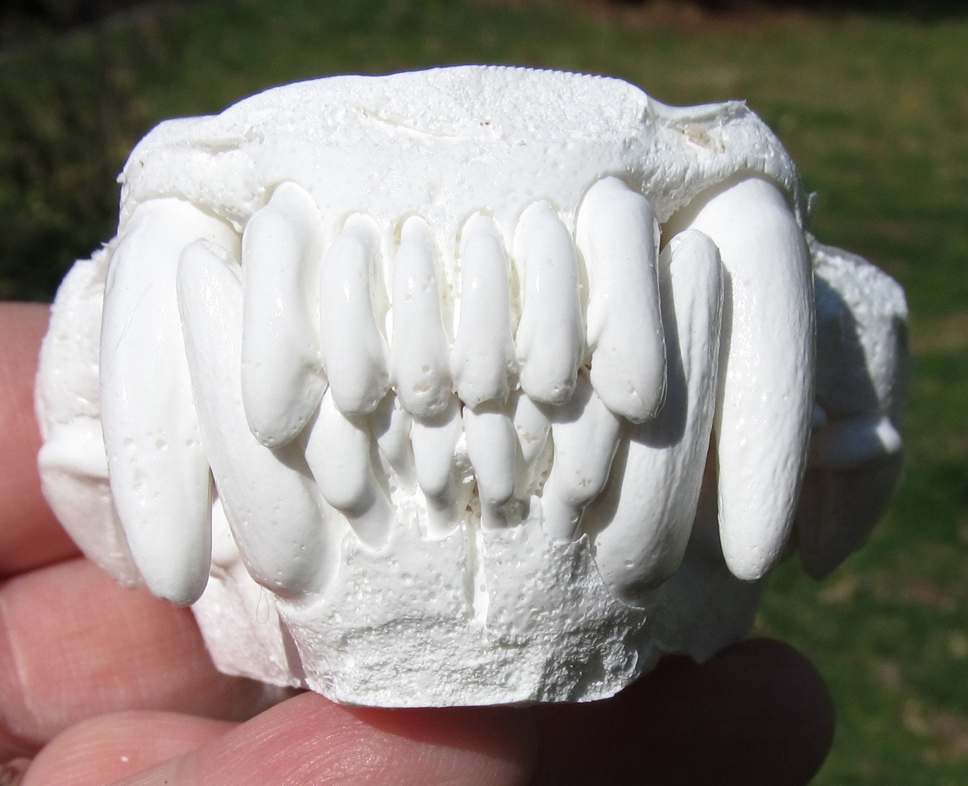 Wolverine Jaws Teeth Cast Costume Mask | Etsy