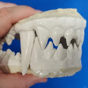 Werewolf Jaws Teeth Cast Mask Costume Style #2 - Etsy