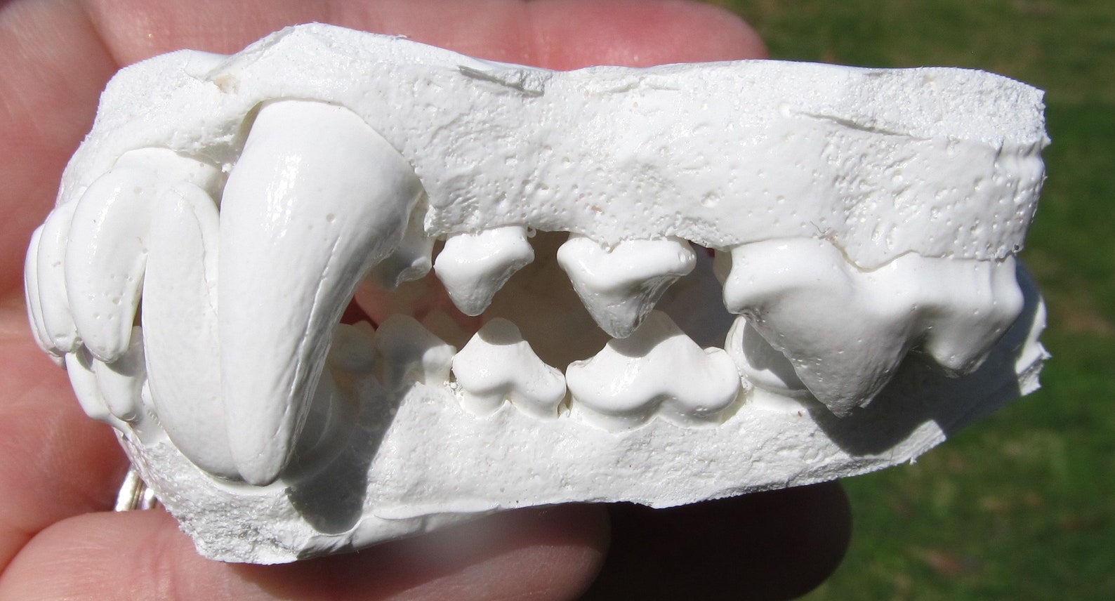 Wolverine Jaws Teeth Cast Costume Mask - Etsy