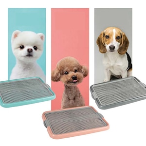 Alpha Dog Series - Indoor Potty Training Training Pee Pad Holder Trays ...