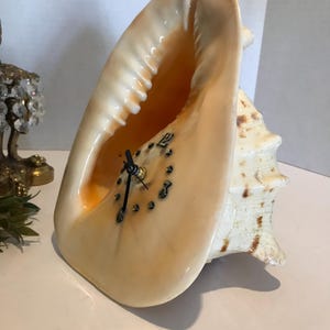 Vintage Conch Shell Clock, Vintage Cassis Cornuta Large Clock, Beach ...