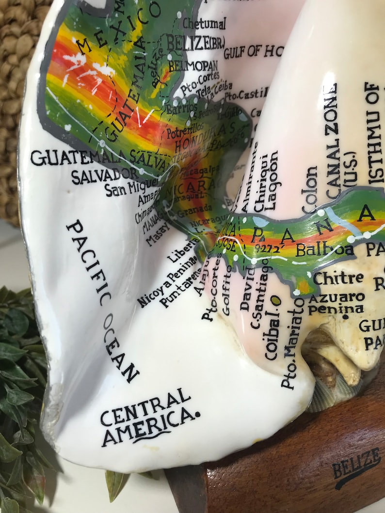 Vintage Large Tourist Conch Shell Statue, Vintage Belize Retro 70s ...