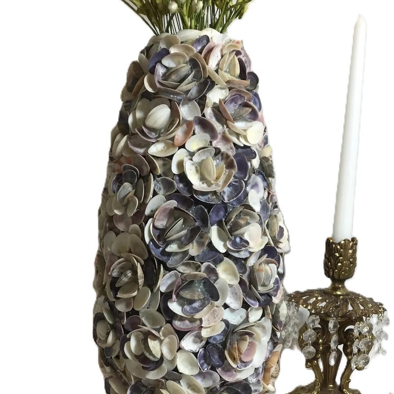 Seashell Vase - Etsy