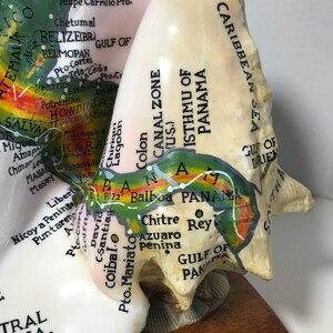 Vintage Large Tourist Conch Shell Statue, Vintage Belize Retro 70s ...