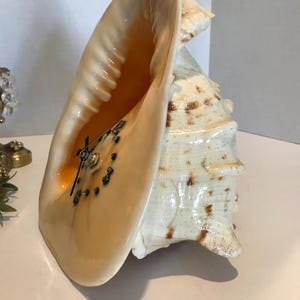 Vintage Conch Shell Clock, Vintage Cassis Cornuta Large Clock, Beach ...