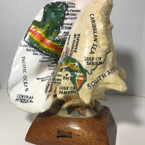 Vintage Large Tourist Conch Shell Statue, Vintage Belize Retro 70s ...