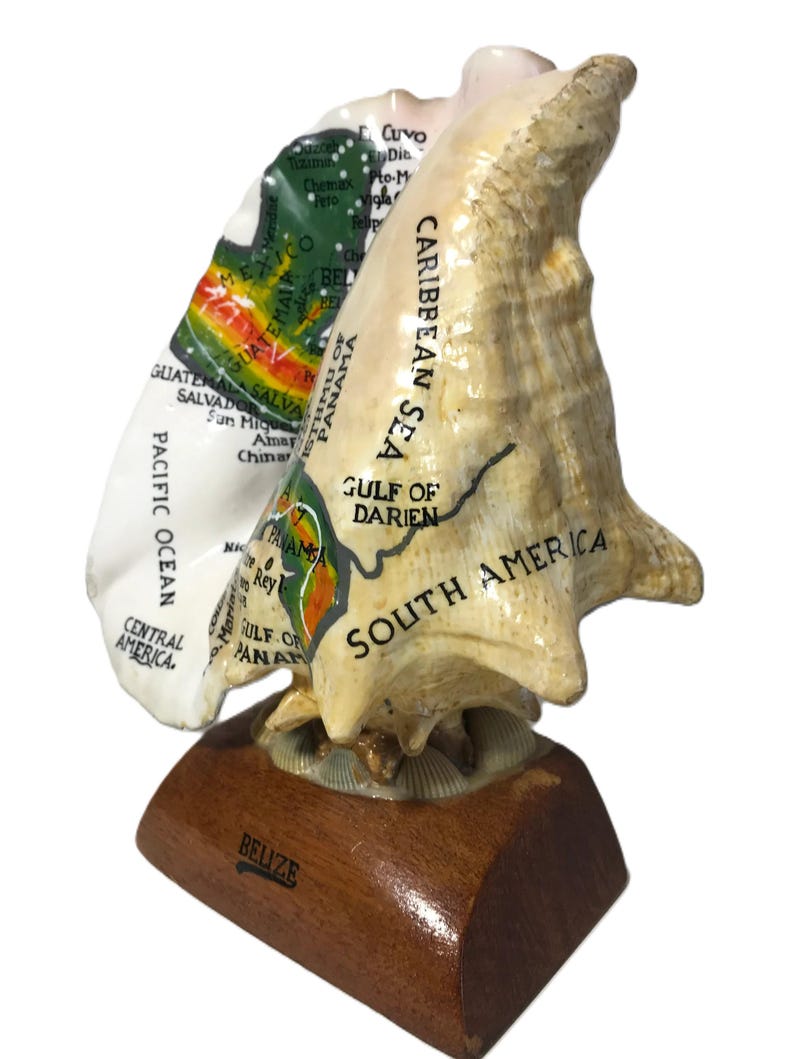 Vintage Large Tourist Conch Shell Statue, Vintage Belize Retro 70s ...